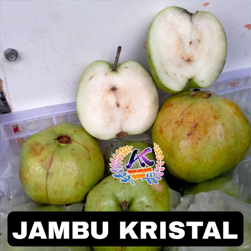 Jual JAMBU KRISTAL 1KG | Shopee Indonesia