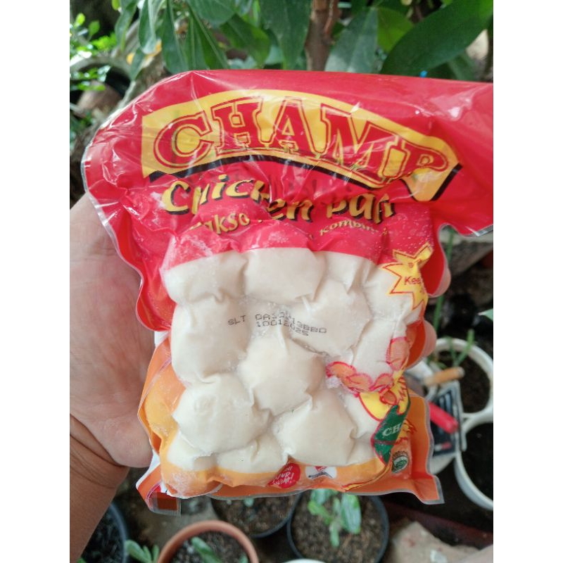 Jual Champ Bakso Ayam (isi 50pcs) Kemasan 500gram | Shopee Indonesia