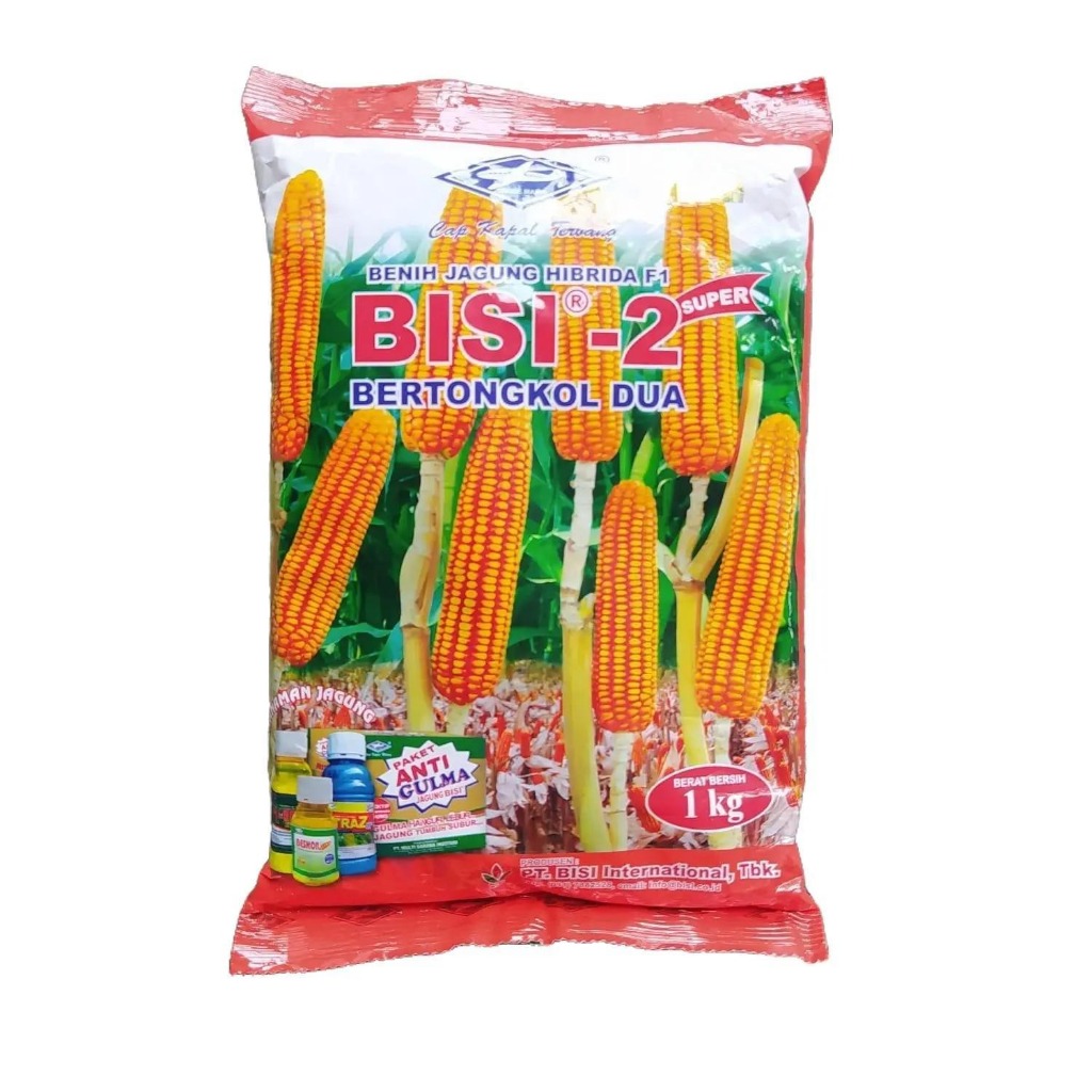 Jual Benih Bibit Jagung Hibrida BISI 2 Tongkol Dua Original 1 Kg ...