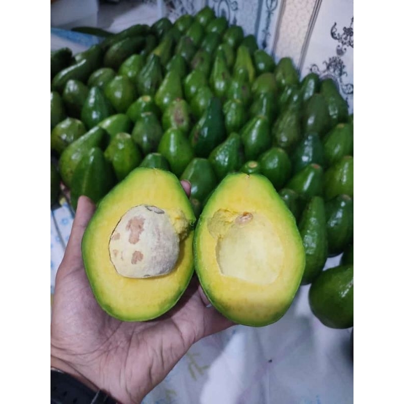 Jual Buah Alpukat Mentega 1kg Bergaransi - Alpukat Kuning - Alpukat ...