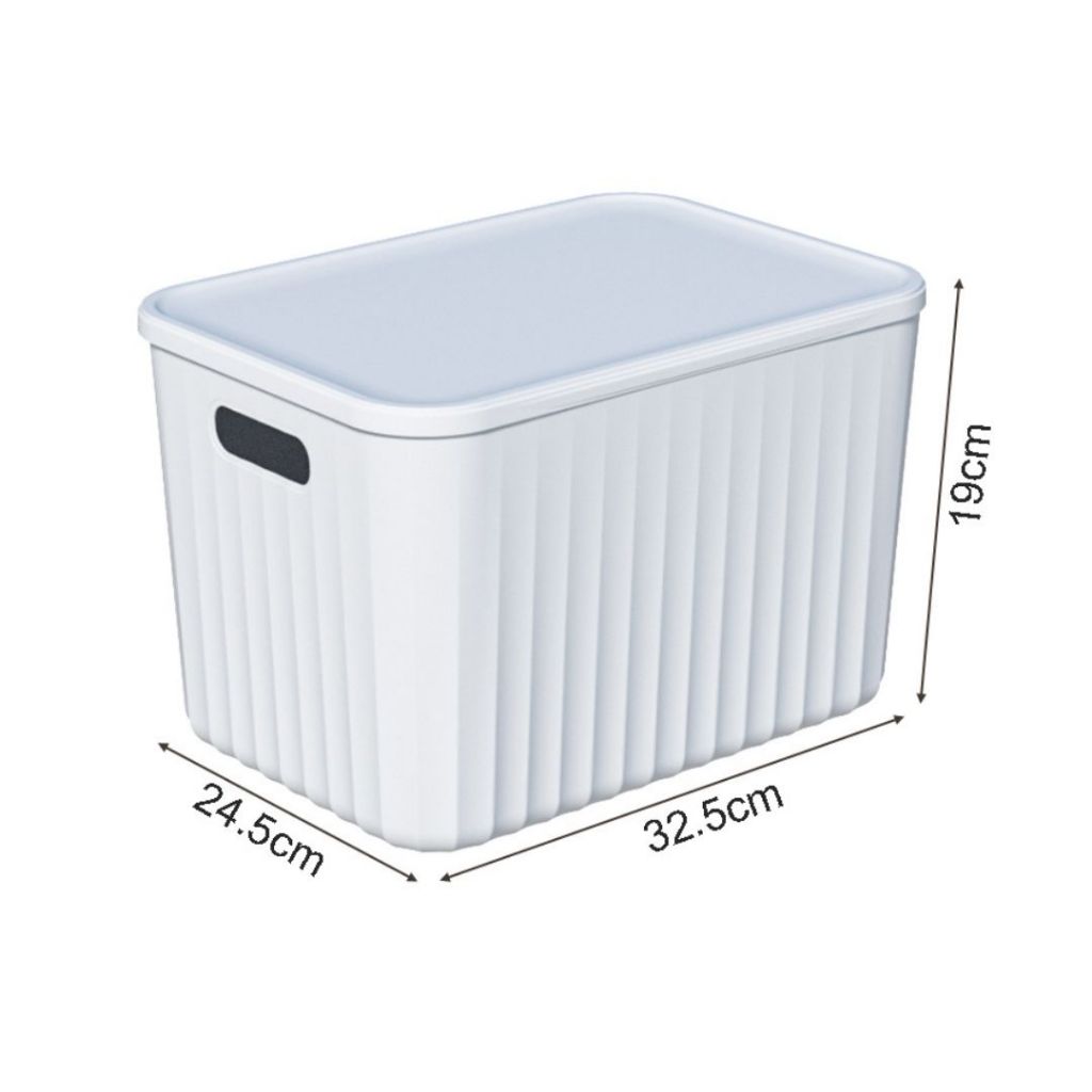 Jual 【MADE IN INDONESIA】Megam Container Box Penyimpanan Serbaguna Kotak ...