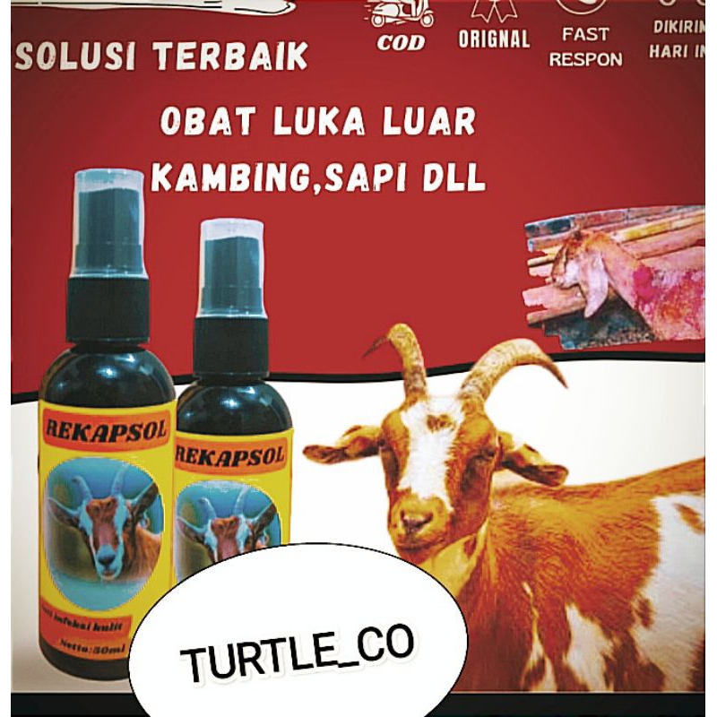 Jual Obat Scabies Kambing Sapi Domba | Shopee Indonesia