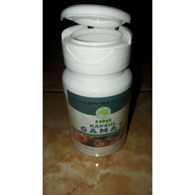 Jual kapsul GAMAT HERBAL HNI pereda nyeri sendi & tulang | Shopee Indonesia