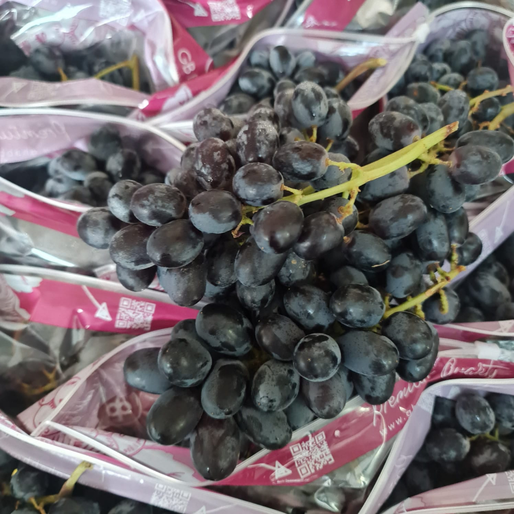 Jual Anggur Hitam Afrika (Tanpa Biji) | Shopee Indonesia