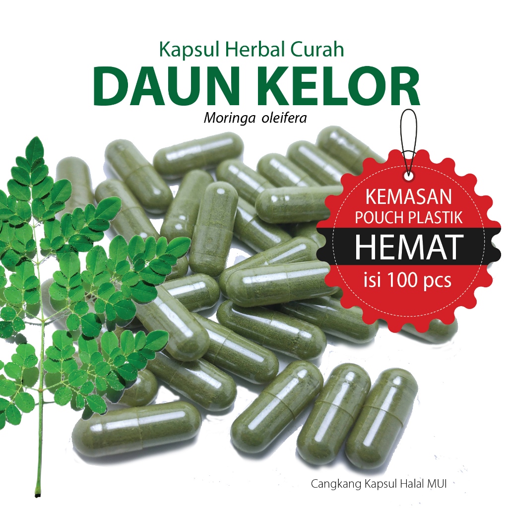 Jual DAUN KELOR Kapsul Herbal Murni Alami Kemasan Hemat Isi 100 ...