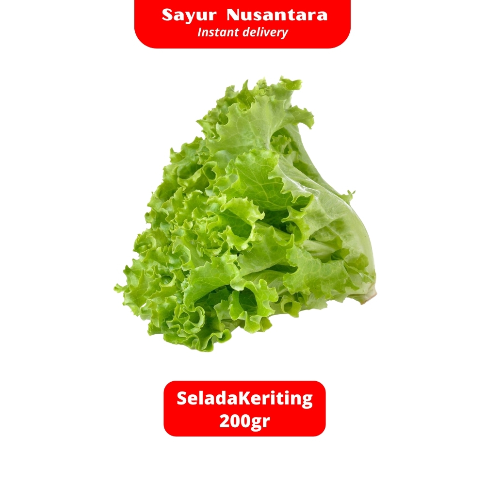 Jual Selada Keriting 200gr - Sayur Nusantara | Shopee Indonesia