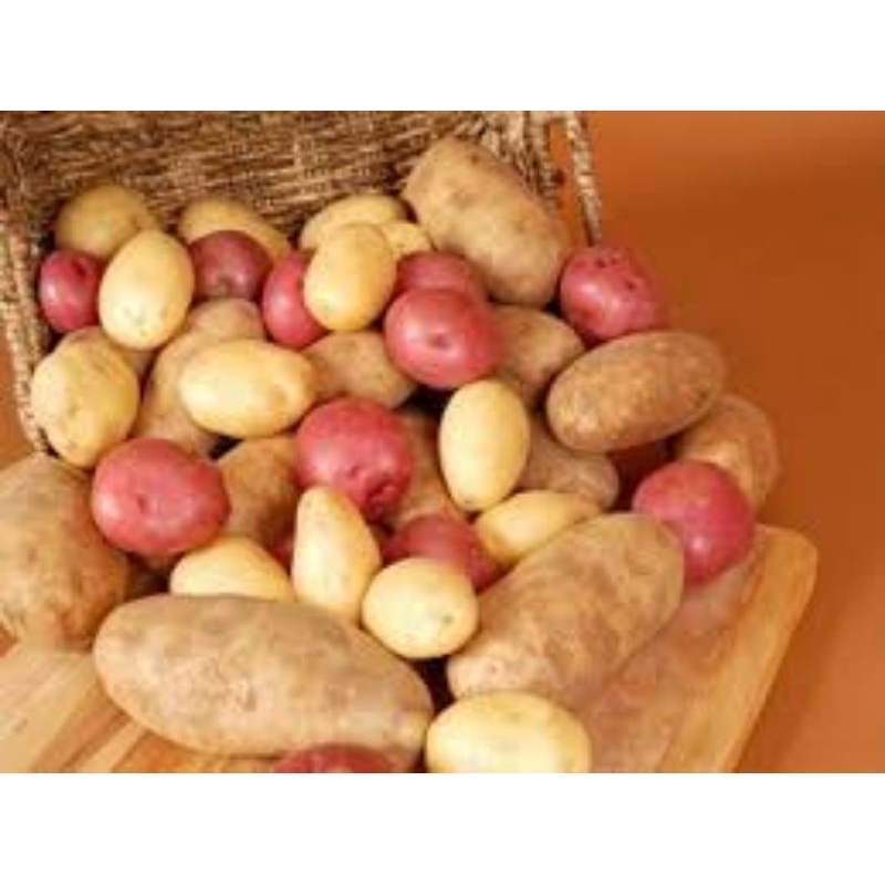 Jual Kentang( besar,sedang,rendang,merah besar,merah sedang) | Shopee ...