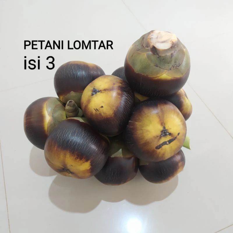 Jual Buah Lontar/ Siwalan, Satu buah isi 3 | Shopee Indonesia