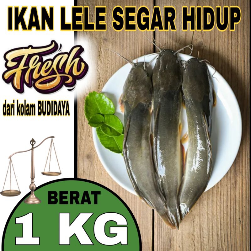 Jual IKAN LELE SEGAR HIDUP 1 KG | Shopee Indonesia