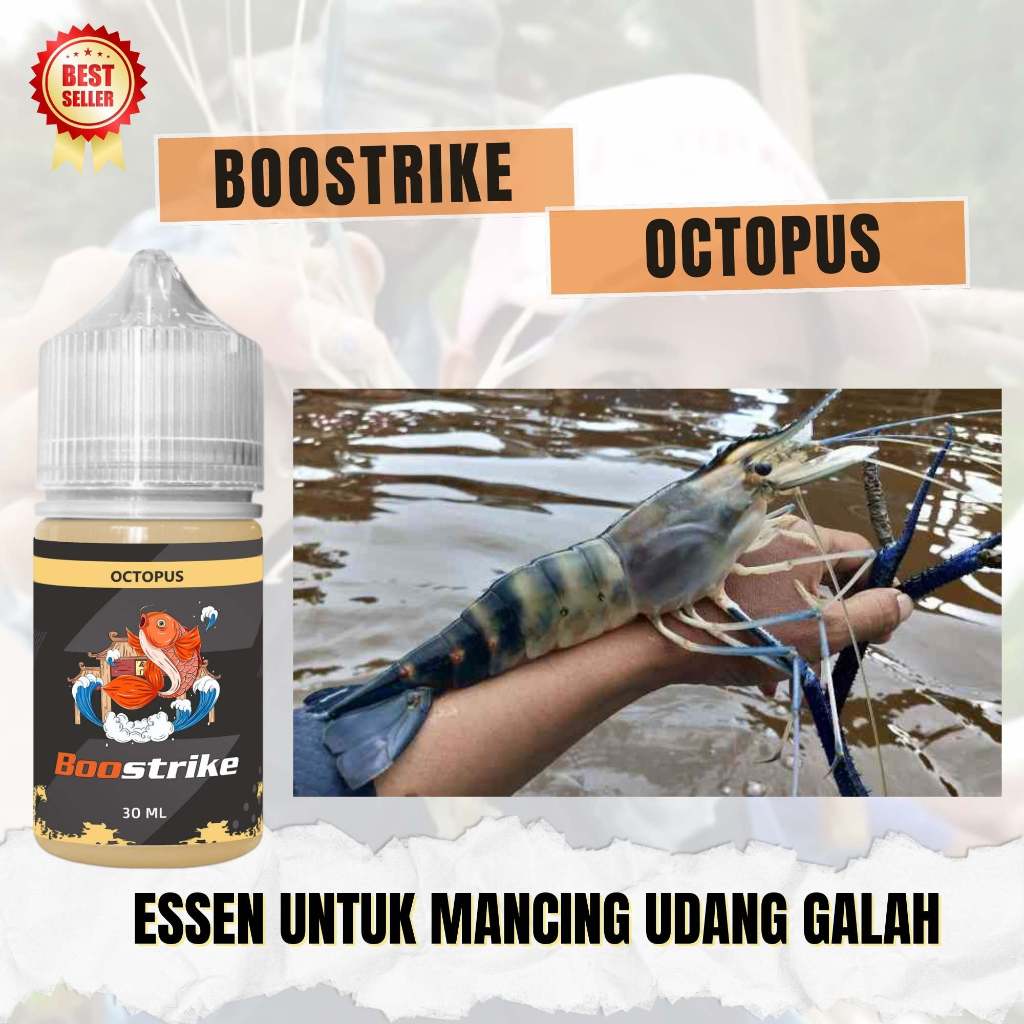 Jual ESSEN MANCING UDANG GALAH LIAR PALING JITU | Shopee Indonesia