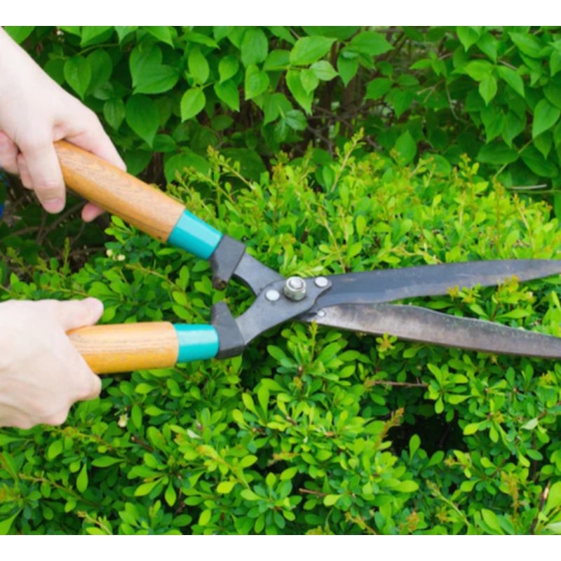 Jual Gunting Rumput Super Tajam 48CM Gunting Potong Rumput Besar ...