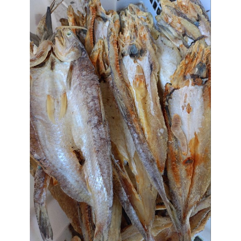 Jual Ikan Asin Gabus Laut 1kg | Shopee Indonesia