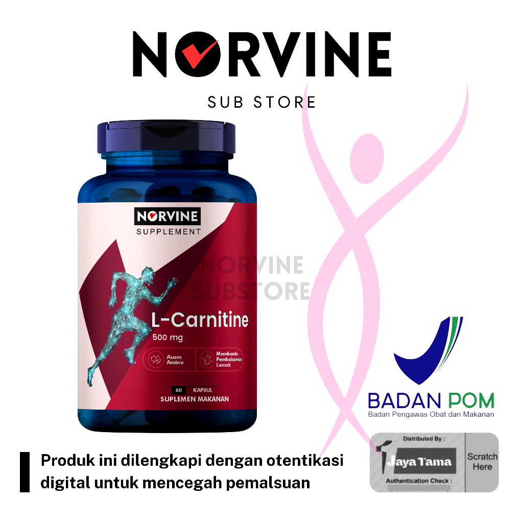 Jual L Carnitine 500 Mg Fat Norvine Usa Fat Burner Pembakar Lemak 60