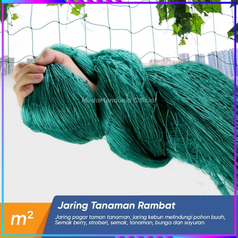 Jual Jaring Tanaman Buah Anggur Sayuran Anti UV/Jaring Tanaman Rambat ...