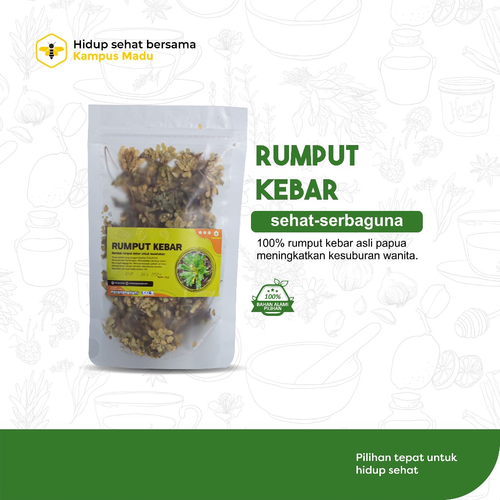 Jual Rumput Kebar Asli Papua 10gr / Promil/Kesuburan Wanita | Shopee ...