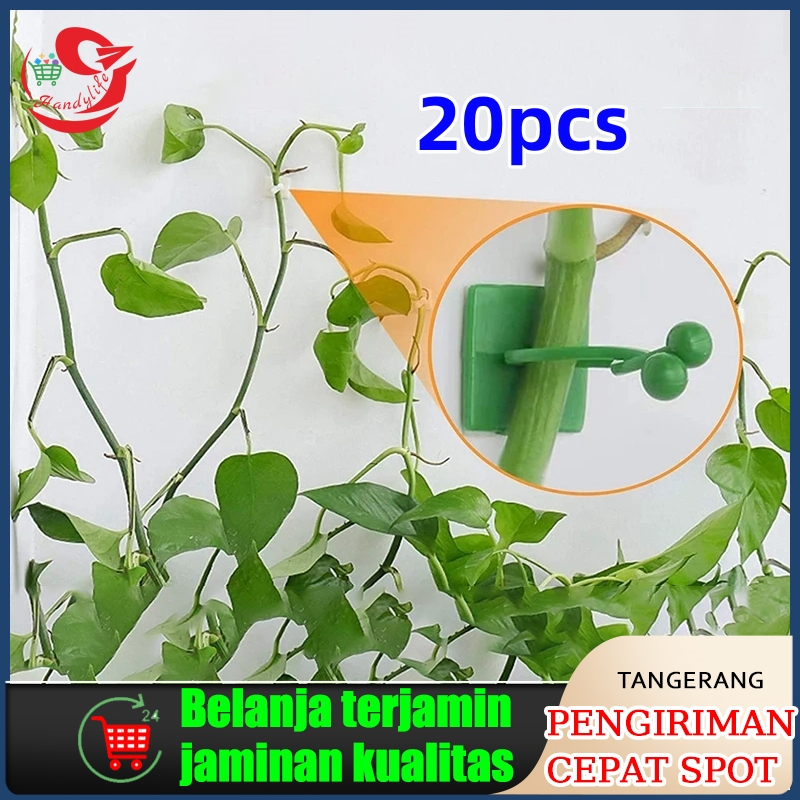 Jual Klip tanaman merambat plant climbing wall/Klip Kait Tanaman ...
