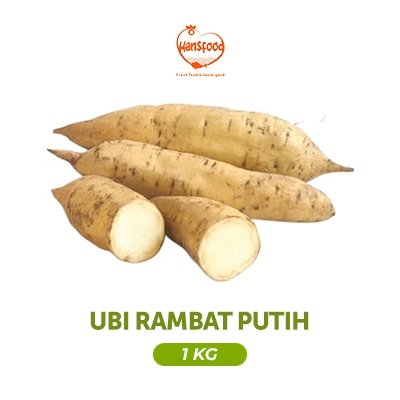 Jual Ubi Rambat Putih fresh 1kg | Shopee Indonesia