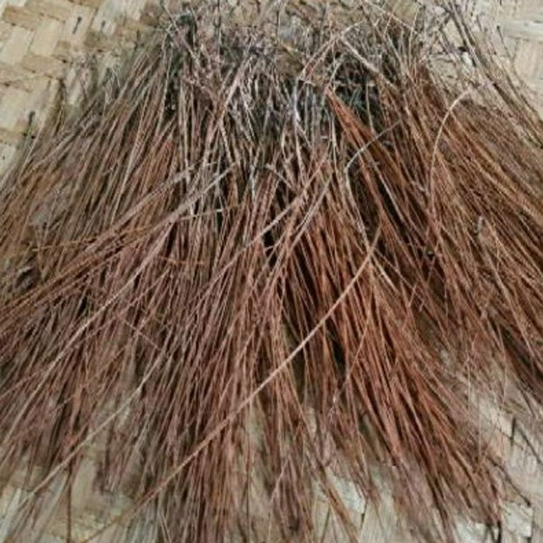 Jual Daun Pinus Kering 1 Kg | Shopee Indonesia