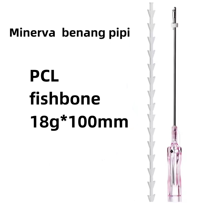 Jual Minerva Benang Pipi PDO&PCL 19g*100&18g*100mm fishbone&molding a pack (20benang) | Shopee ...