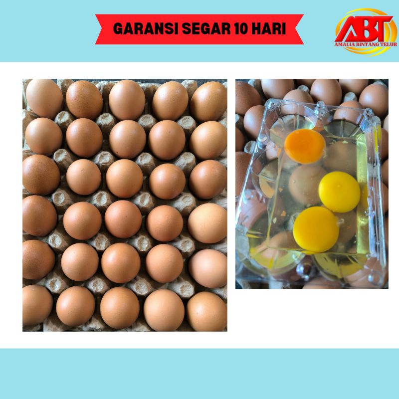 Jual ABT - Telur Ayam Negeri 1 Tray (Isi 30 Butir, 1800-1900gram) Lezat ...