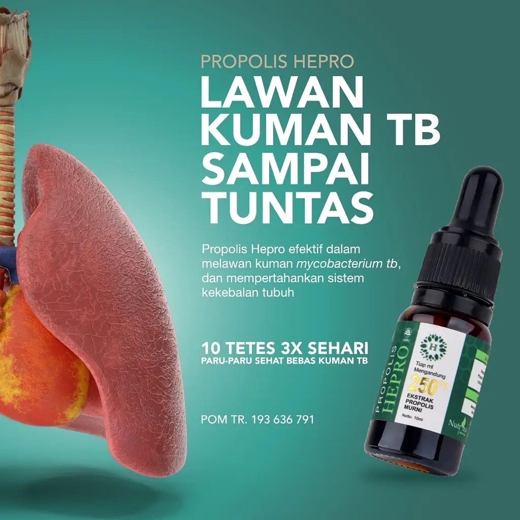 Jual Propolis Hepro Trigona Asli Indonesia - Membantu menyembuhkan TBC ...