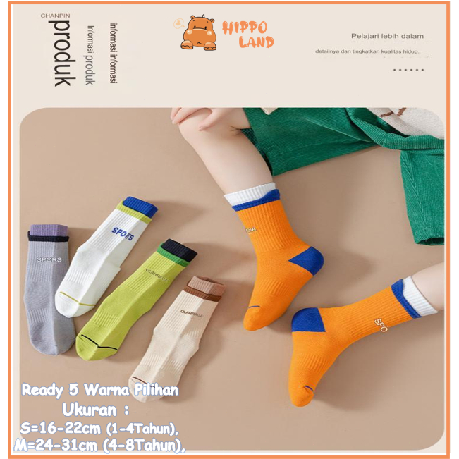 Jual HIPPO LAND kaus kaki pengangkat huruf kaus kaki olahraga anak laki-laki trendi serbaguna ...