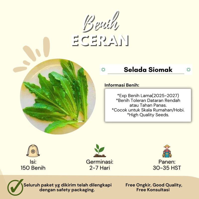 Jual 150 Benih Selada Wangi SIOMAK - Benih Eceran by Gardeningwither ...