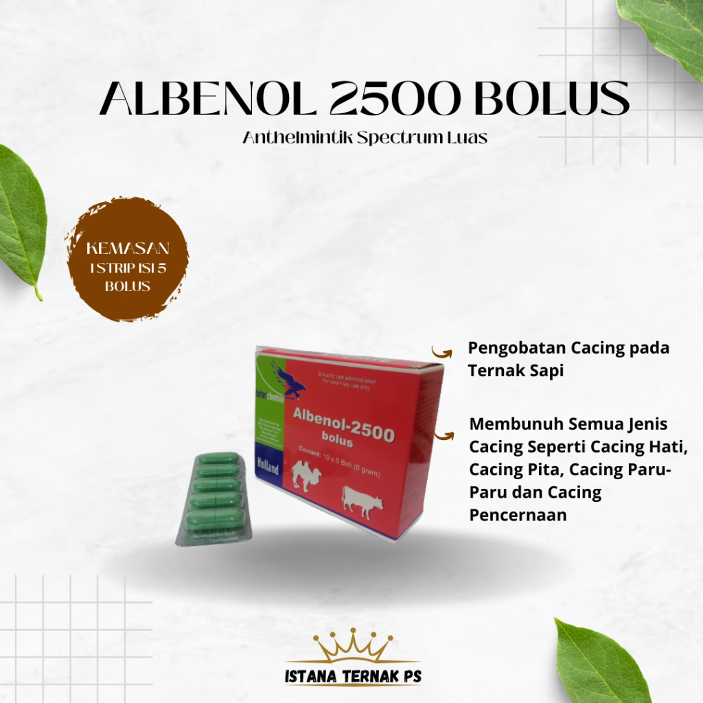 Jual Albenol 2500 Bolus Obat Cacing untuk Ternak 1 Bolus/Tablet ...