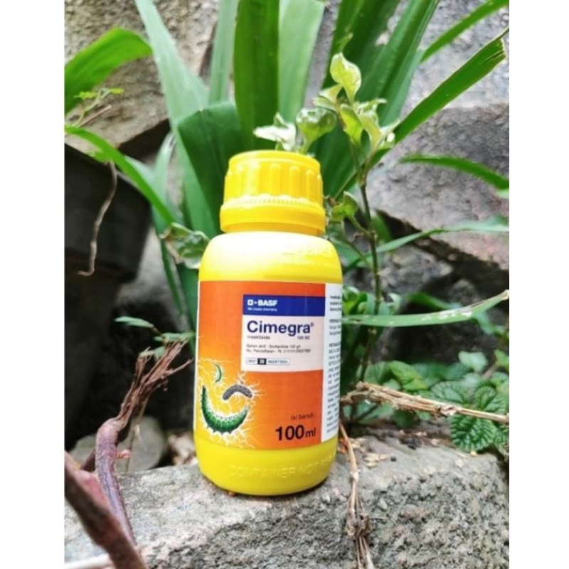 Jual insektisida cimegra 100ml | Shopee Indonesia
