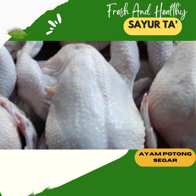 Jual Ayam potong 1,8 kg/ayam broiler/sayurtamakassar | Shopee Indonesia