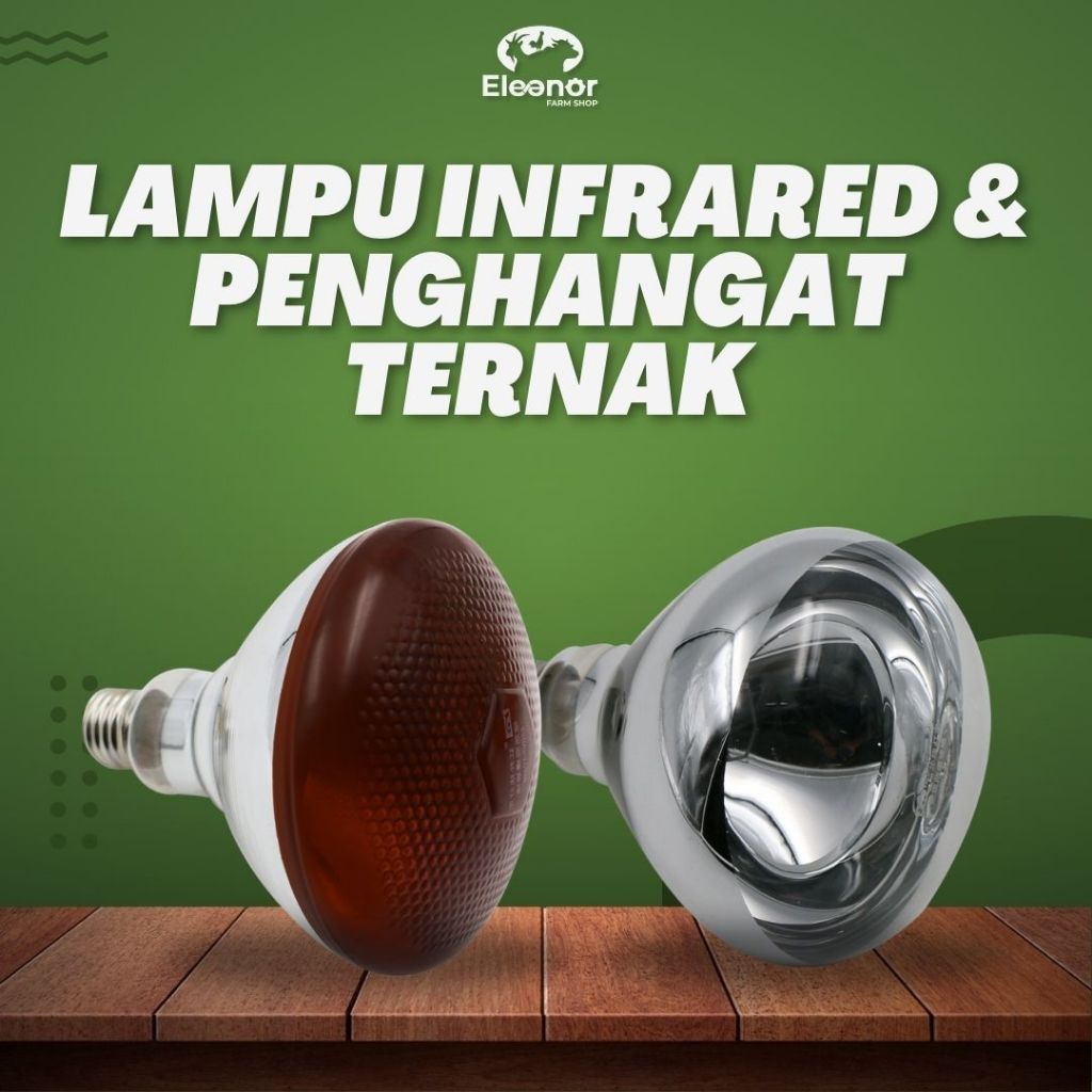 Jual Lampu Infrared Lampu Pemanas Penghangat Babi Ayam Sapi Ternak ...