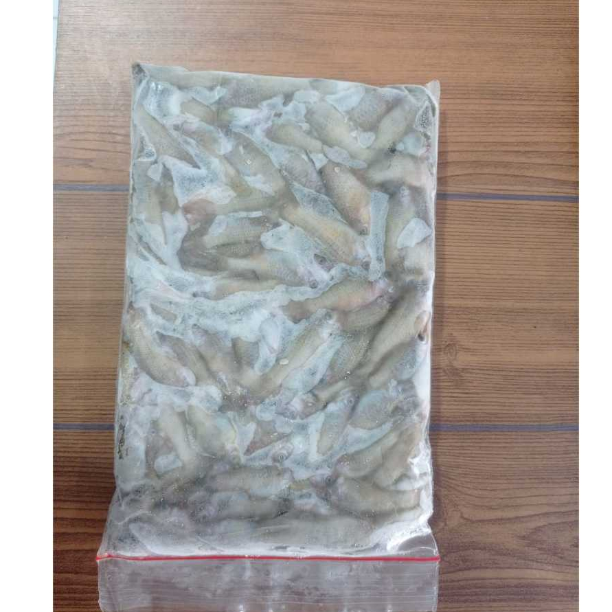 Jual Ikan Cere Beku - Cere Beku - Pakan Ikan Predator 500gr - 1kg ...