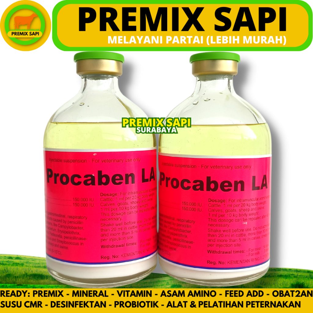 Jual PROCABEN LA pengganti Penstrep 400 Original | Shopee Indonesia