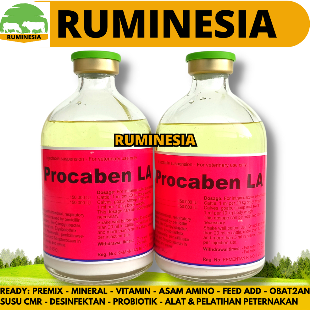 Jual PROCABEN LA 100ML - Pengganti Penstrep 400 Original | Shopee Indonesia
