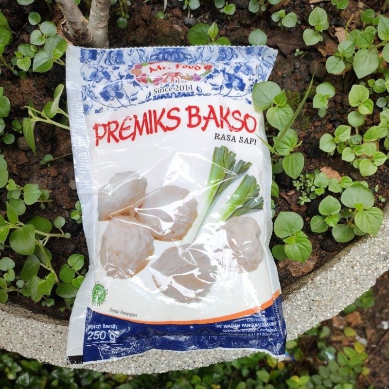 Jual Tepung Bakso Instan by Mr.Food (250gr) | Shopee Indonesia