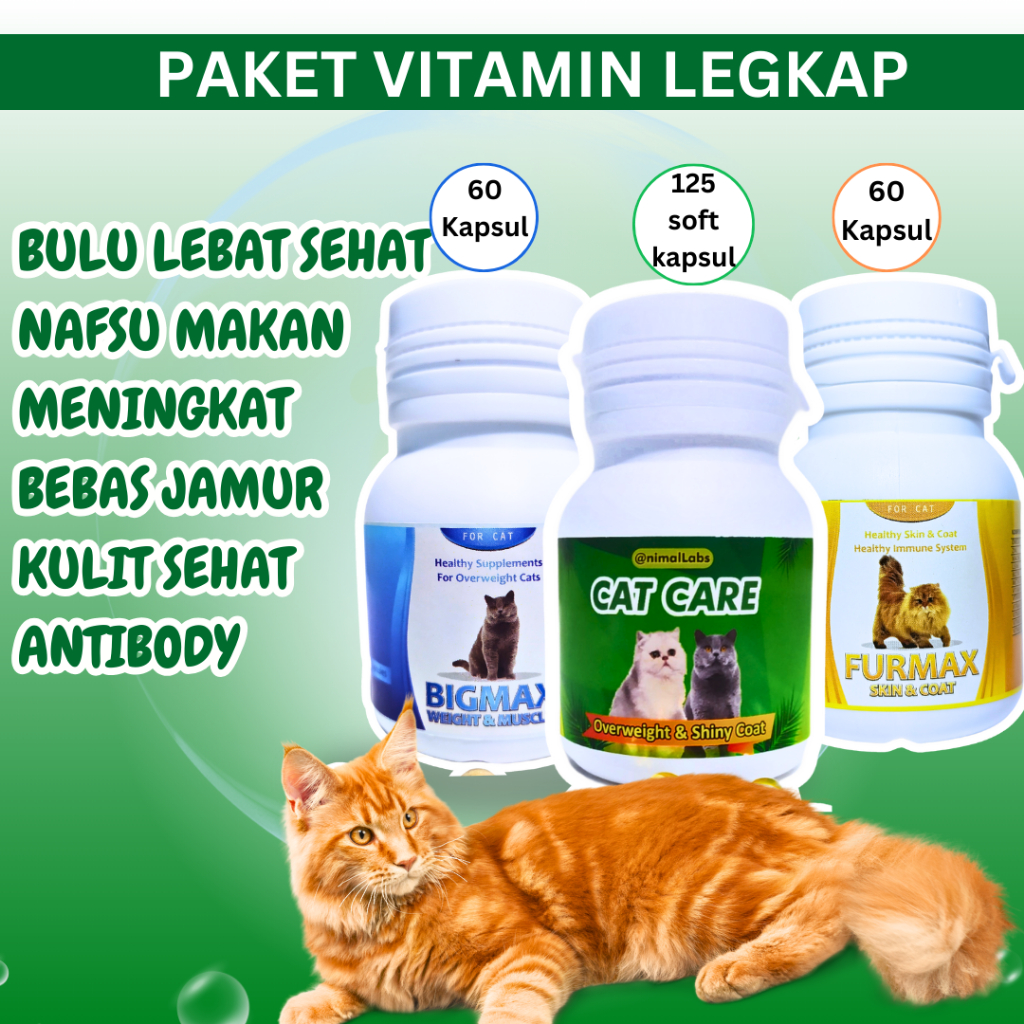 Jual VITAMIN KUCING NAFSU MAKAN KURUS OBAT GEMUK KUCING PENGGEMUK SEHAT ...