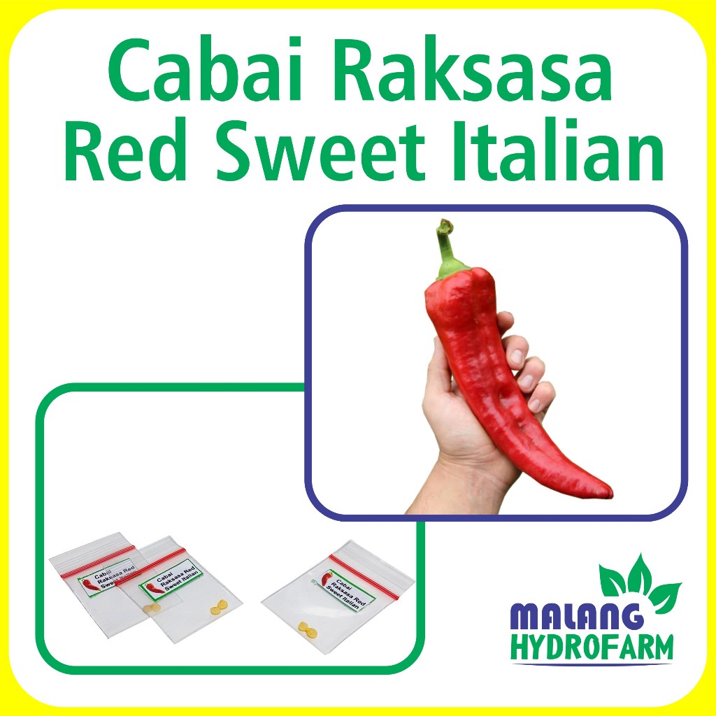 Jual Benih Cabai Raksasa Red Sweet Italian Unggulan Berkualitas bibit ...