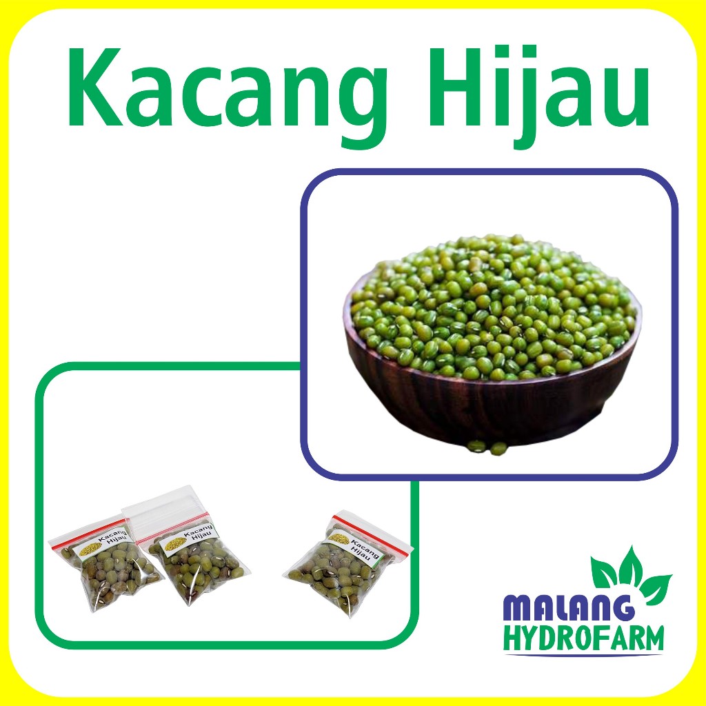 Jual Benih Kacang Hijau Unggulan Berkualitas biji bibit repack vima 1 ...