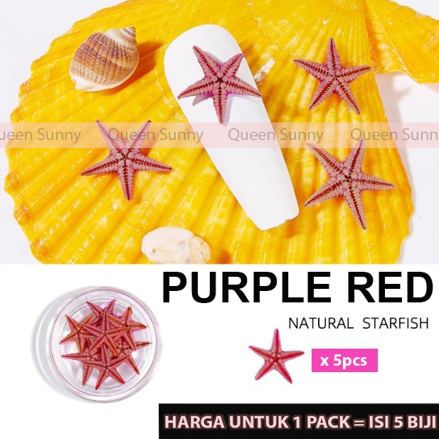 Jual Topping Pasir Kerang Bintang Laut Isian Resin Pantai Hiasan Manik ...