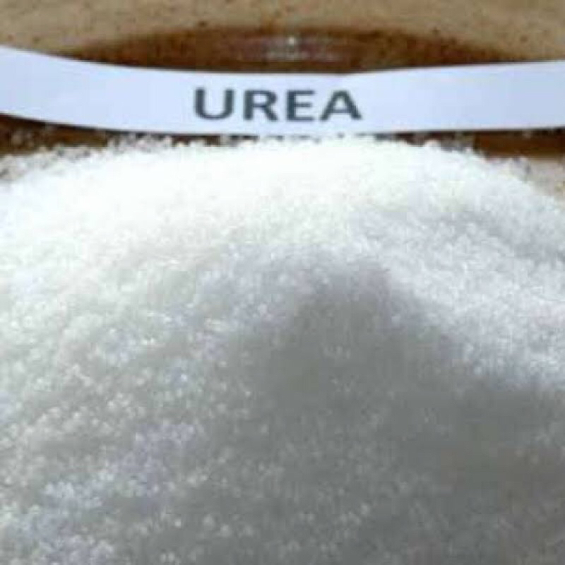 Jual Pupuk urea Putih 500gr -Pupuk rumput gajah mini | Shopee Indonesia