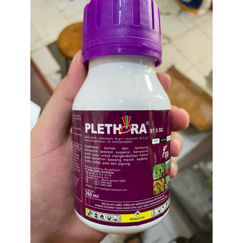 Jual plethora 250ml insektisida royal agro plethora insektisida kontak ...