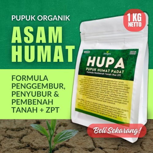 Jual Pupuk Organik Asam Humat Pembenah Penyubur Tanah Pupuk Asam Humate Humic Acid Asam Humat ...