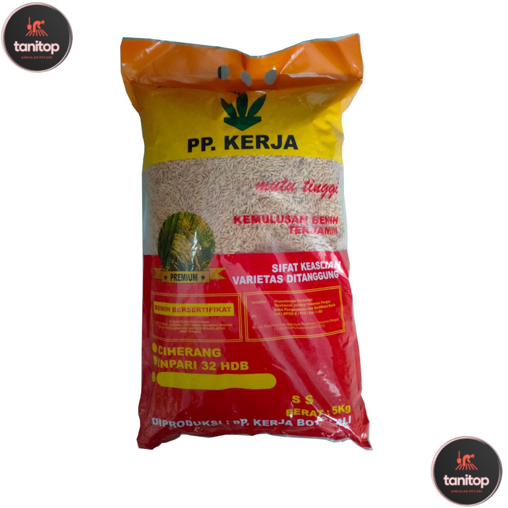 Jual Benih Padi Inpari 33 Premium Pack Kemasan 5 Kg Kualitas TOP ...