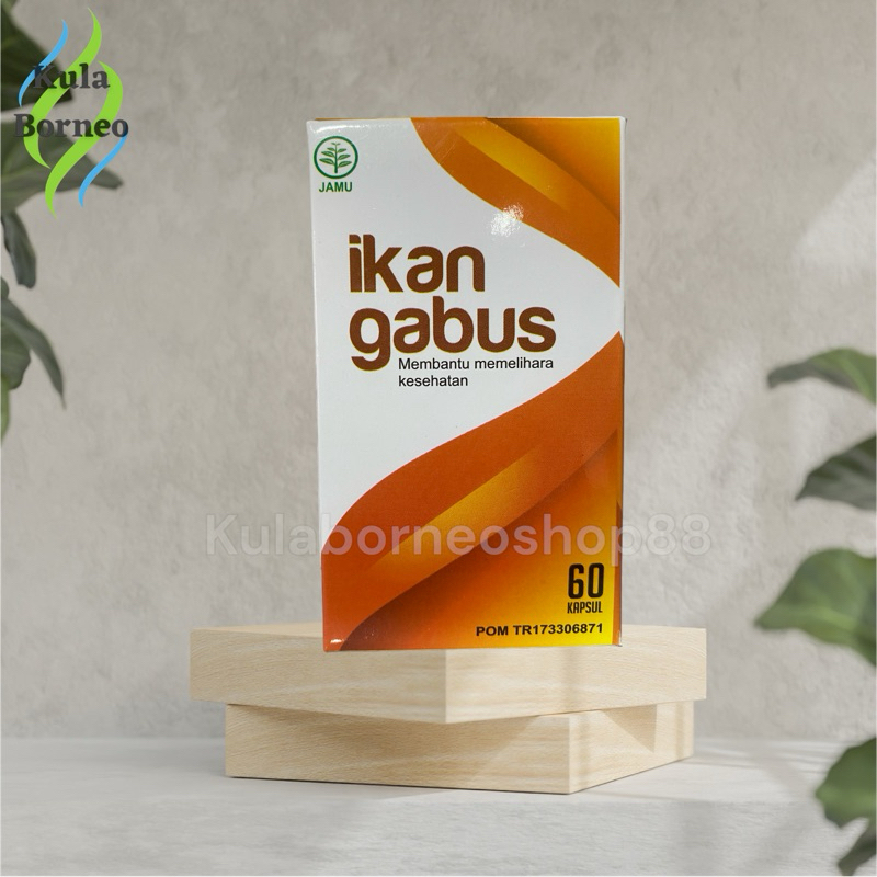 Jual Kapsul Ikan Gabus Al Afiat 60 Kapsul | Shopee Indonesia