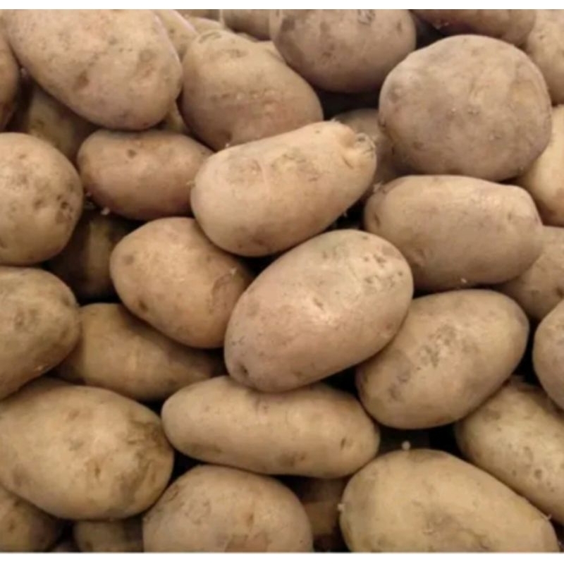 Jual Kentang Dieng fresh Super 1kg | Shopee Indonesia
