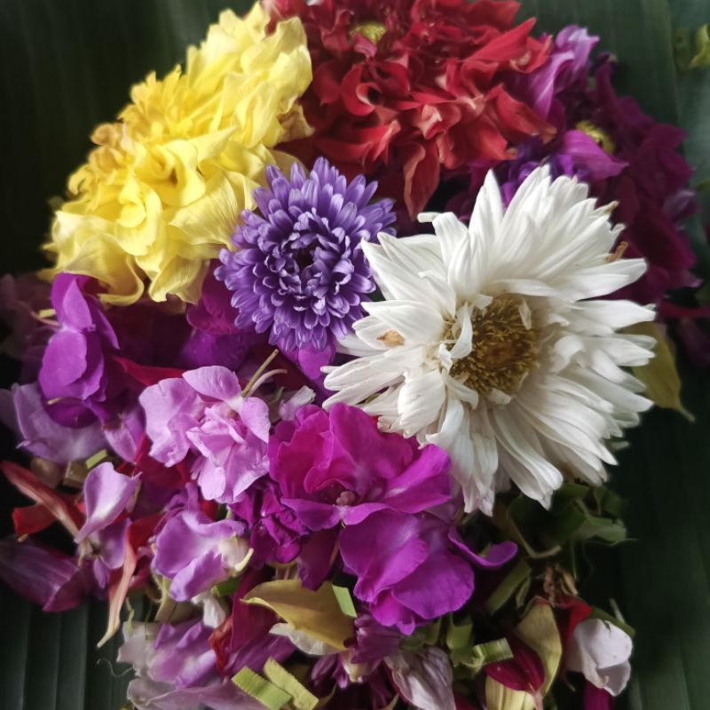 Jual Bunga Ziarah Bunga Jarah Kuburan Bunga Tabur Murah Segar Medan ...