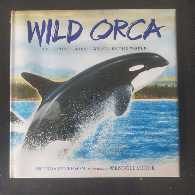 Jual Wild Orca The Oldest Wisest Whale in The World - Brenda Peterson ...