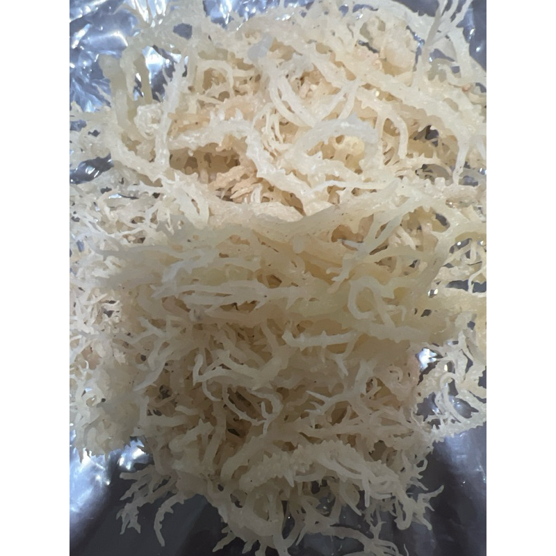 Jual Rumput Laut 1kg kering normal spinosum kenyal asli | Shopee Indonesia