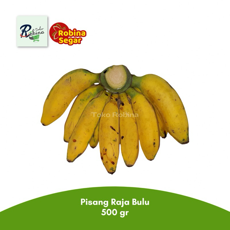 Jual Pisang Raja Pisang buat Aneka Olahan 500 gr | Shopee Indonesia