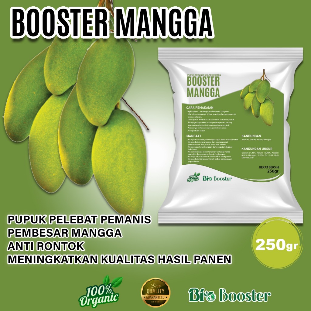 Jual Pupuk booster mangga kemasan 250gr pupuk organik pelebat pemanis pembesar buah mangga ...